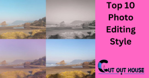 Top 10 Photo Editing Styles - Cut Out House